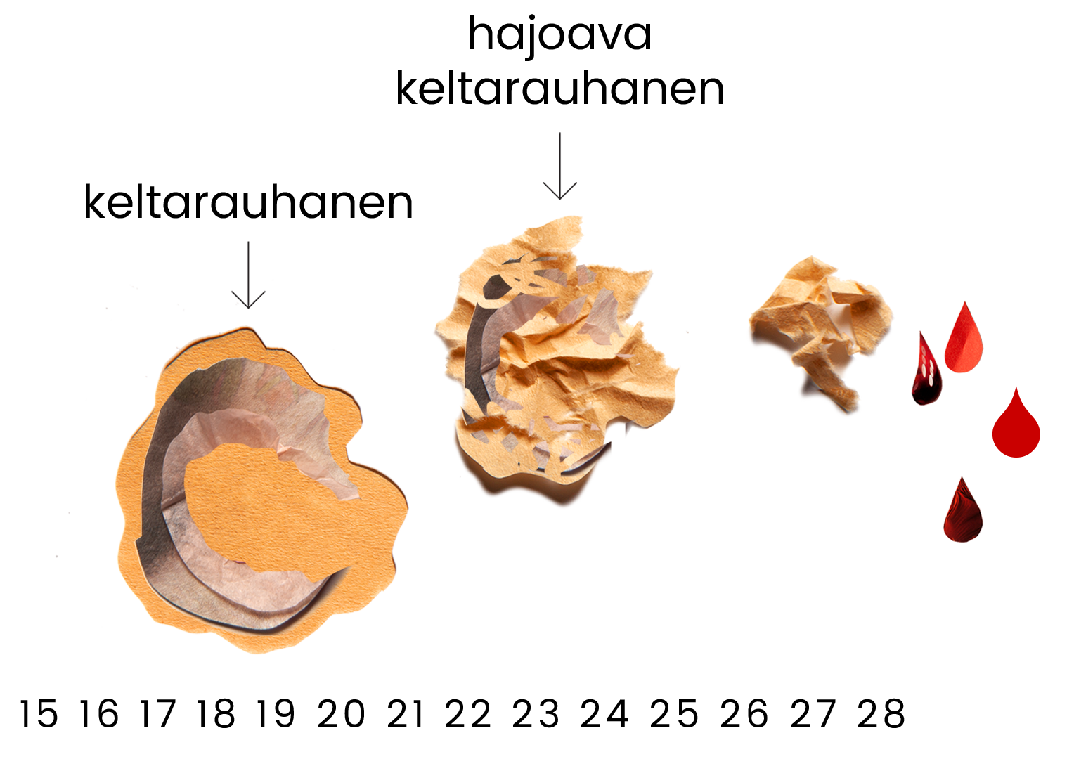 Kuukautiskierto ja kuukautiskierron vaiheet - LET IT FLOW